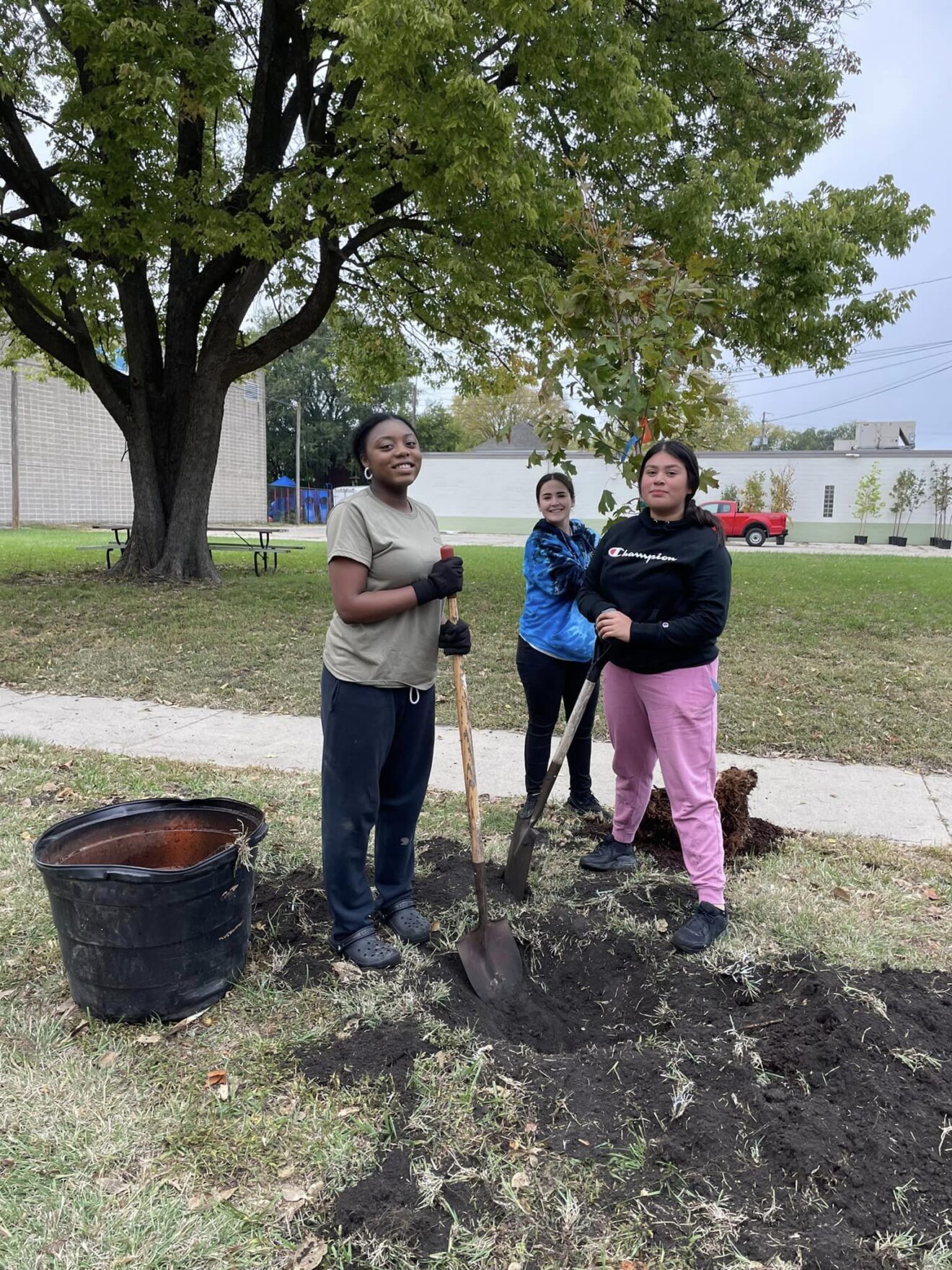 The Power of Planting Trees in Neighborhoods Through Community-Led ...