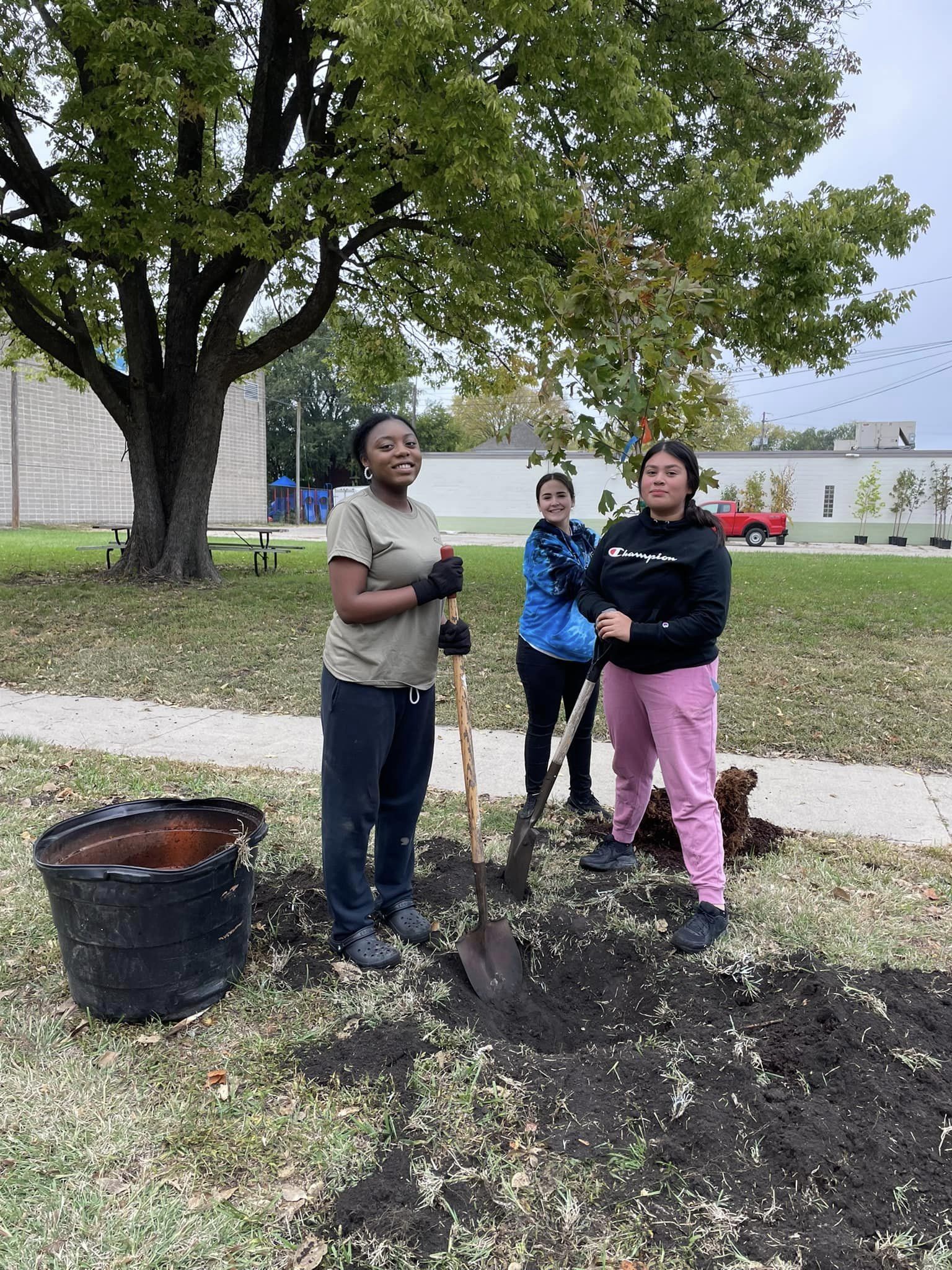 The Power of Planting Trees in Neighborhoods Through Community-Led ...